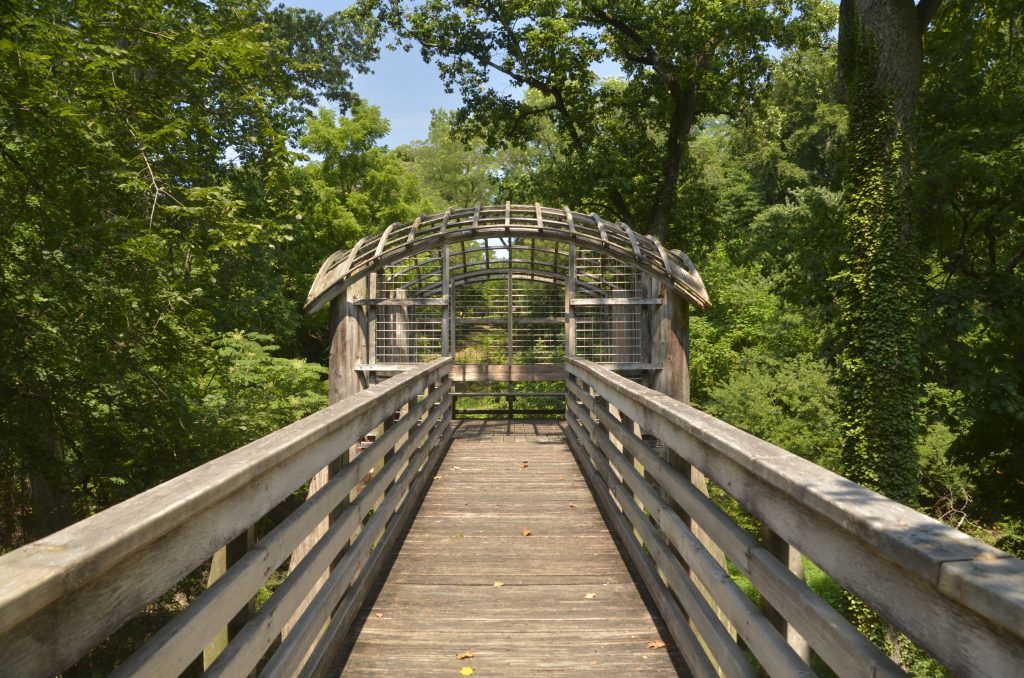 Pavilion in the Trees - Association for Public Art