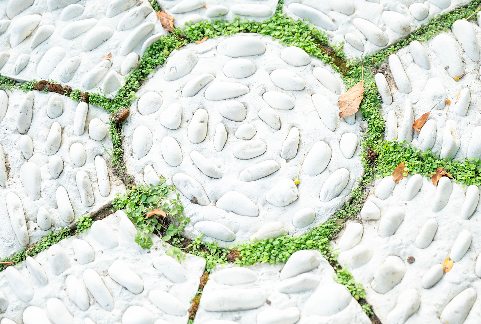 Opening Reception: Rachel Hsu's "The Weight of Our Living ...